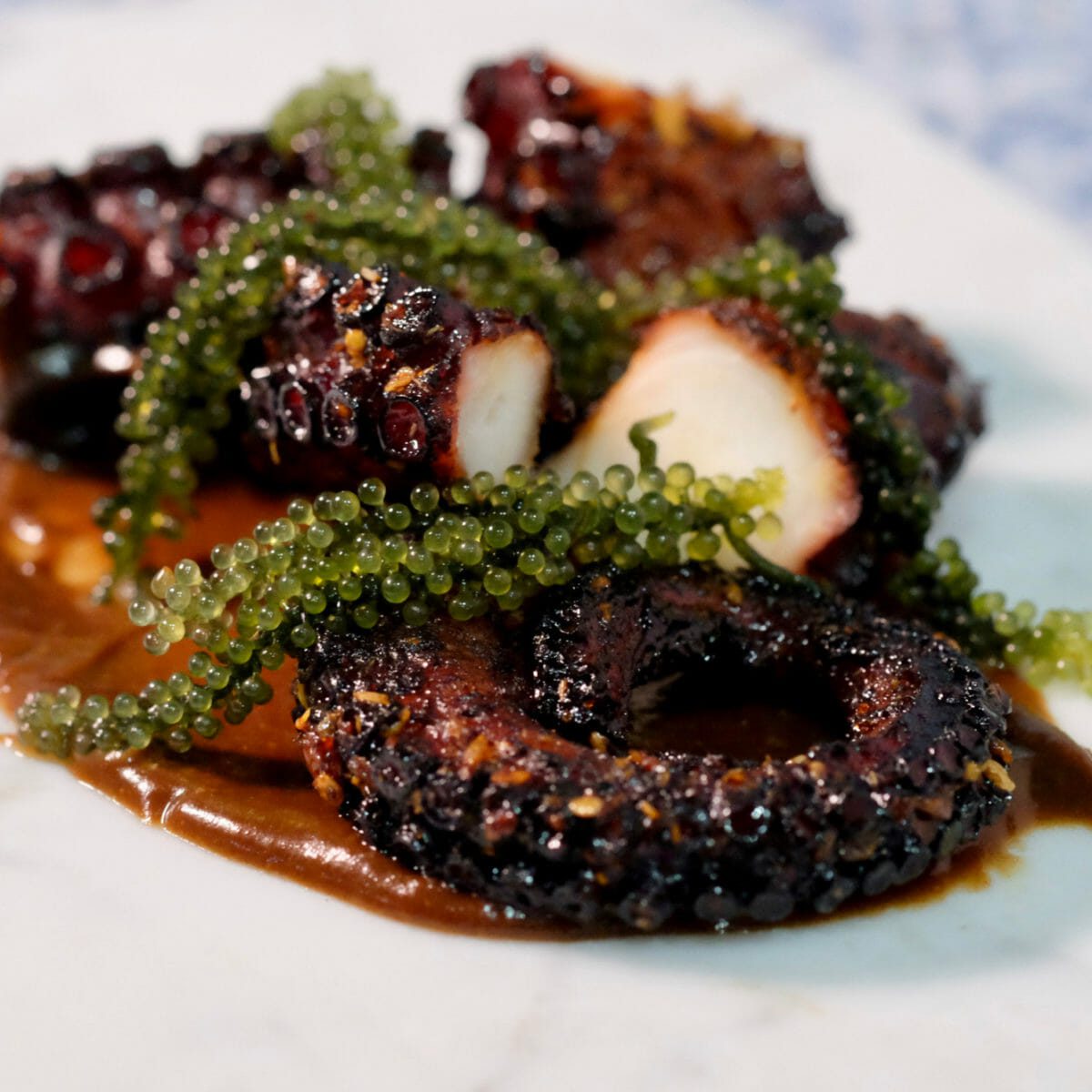 Balsamic glazed octopus on a black garlic and anchovy puree - delectabilia
