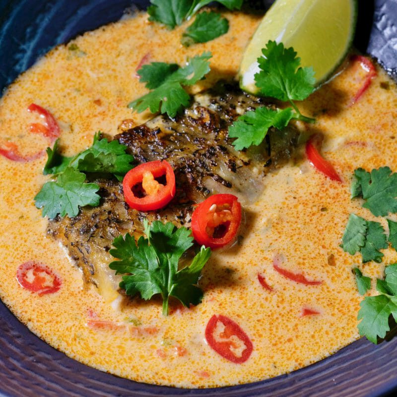 Thai Red Fish Curry featuring Barramundi - delectabilia