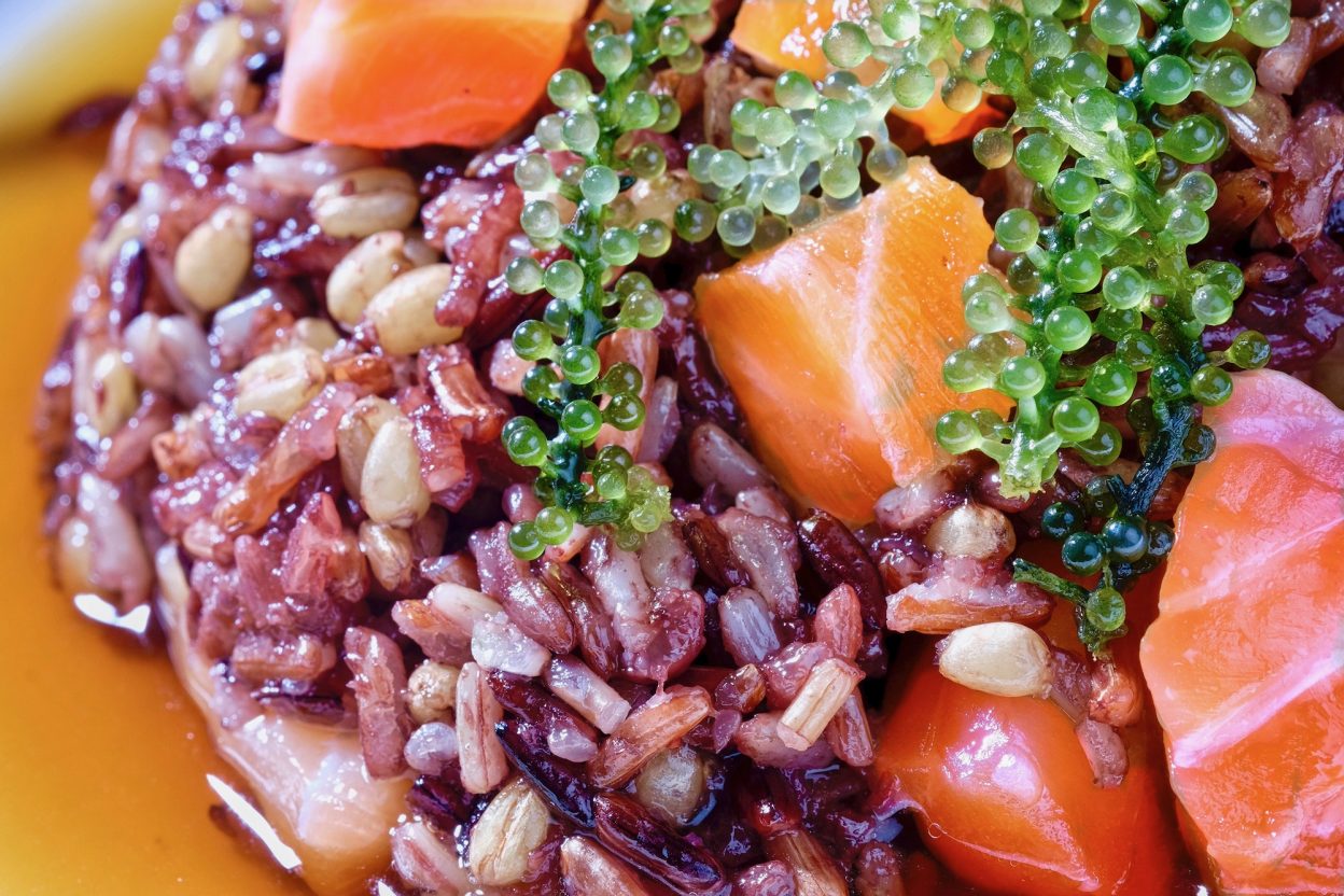 Mixed rice chazuke with miso cured salmon - delectabilia