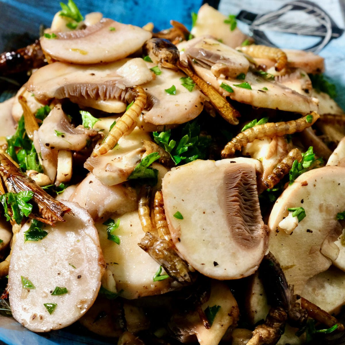 Mushroom salad with edible insects - delectabilia