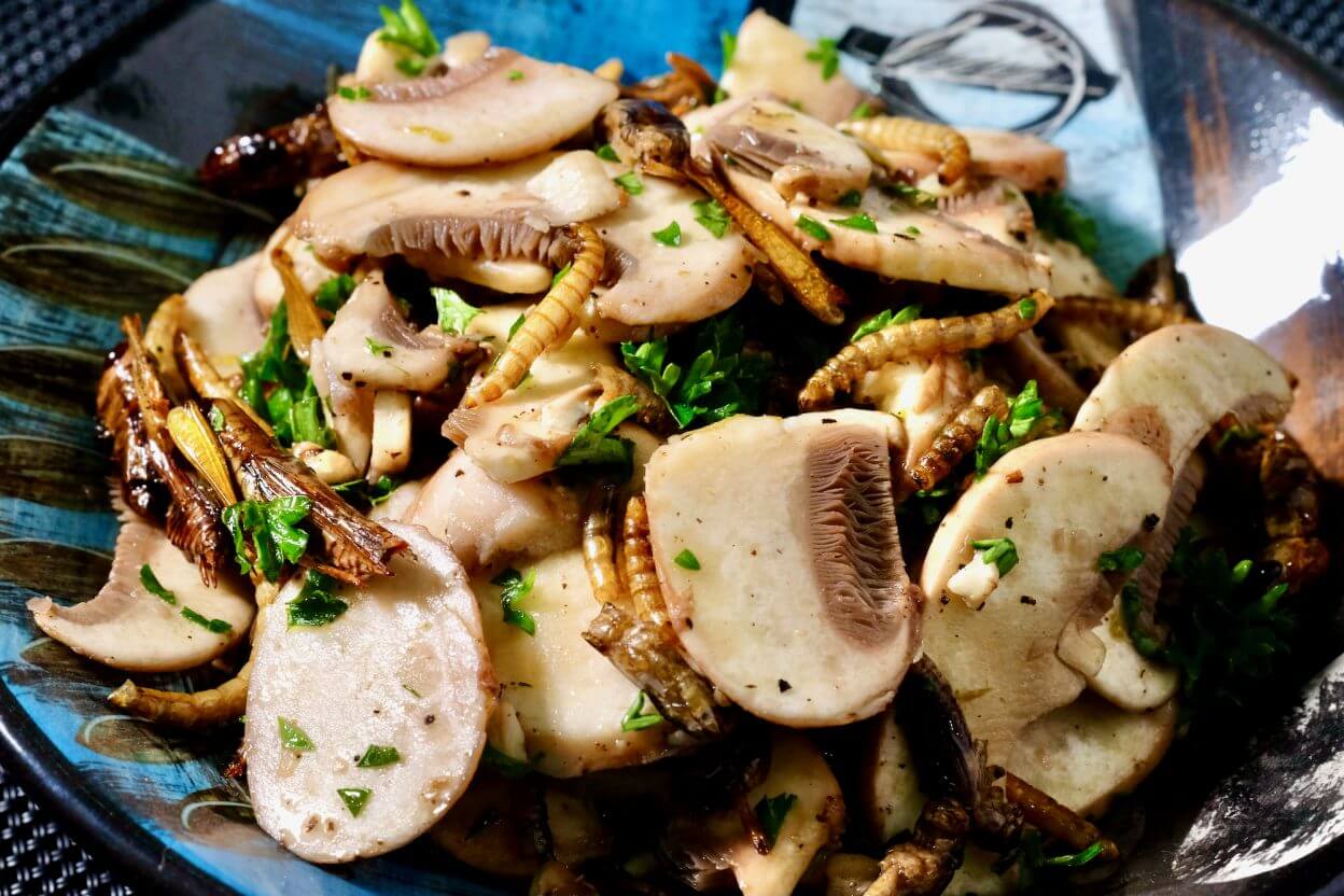 Mushroom salad with edible insects - delectabilia