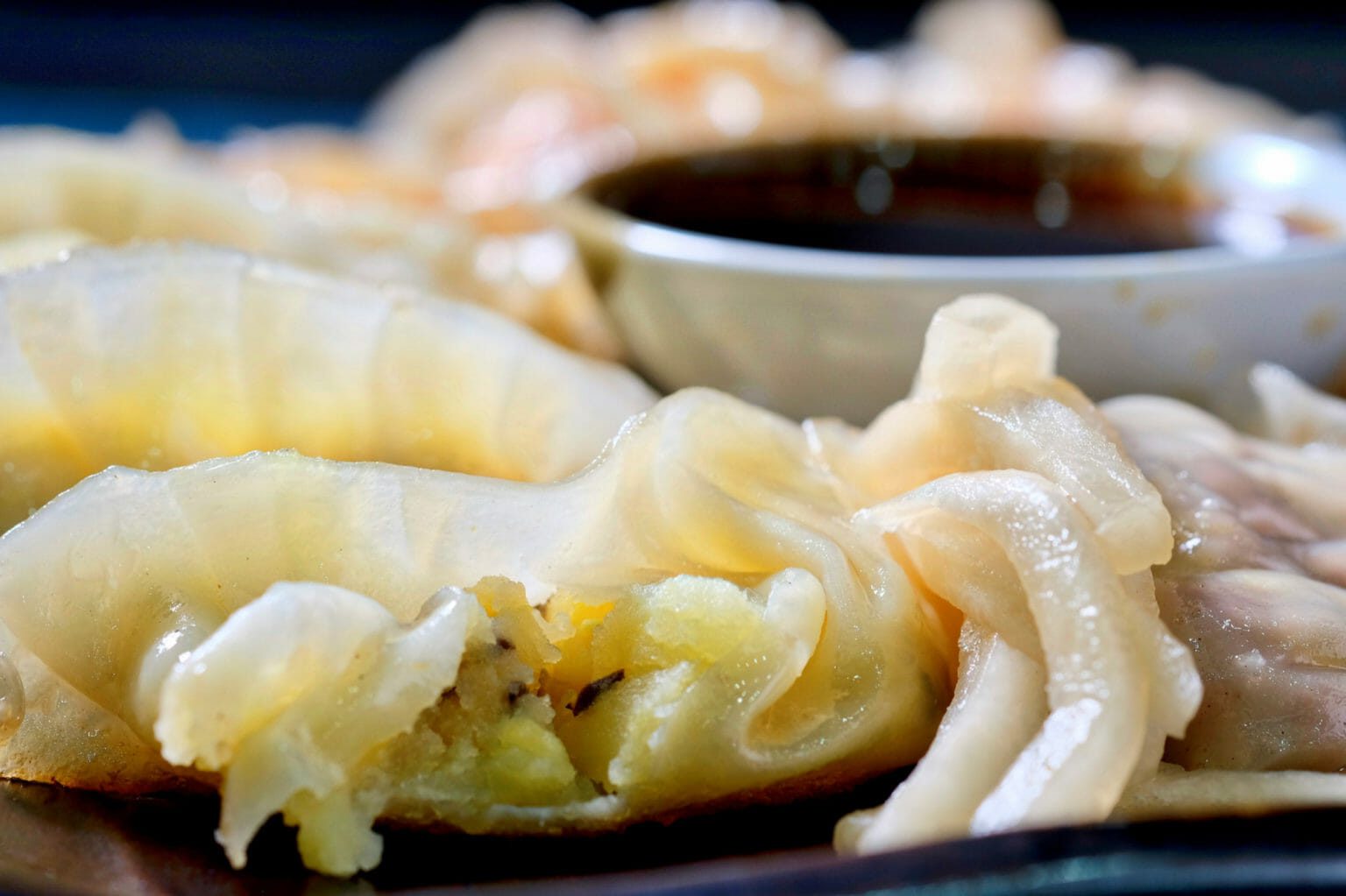 Assorted Gyoza Recipes. Ponzu Dipping Sauce - delectabilia